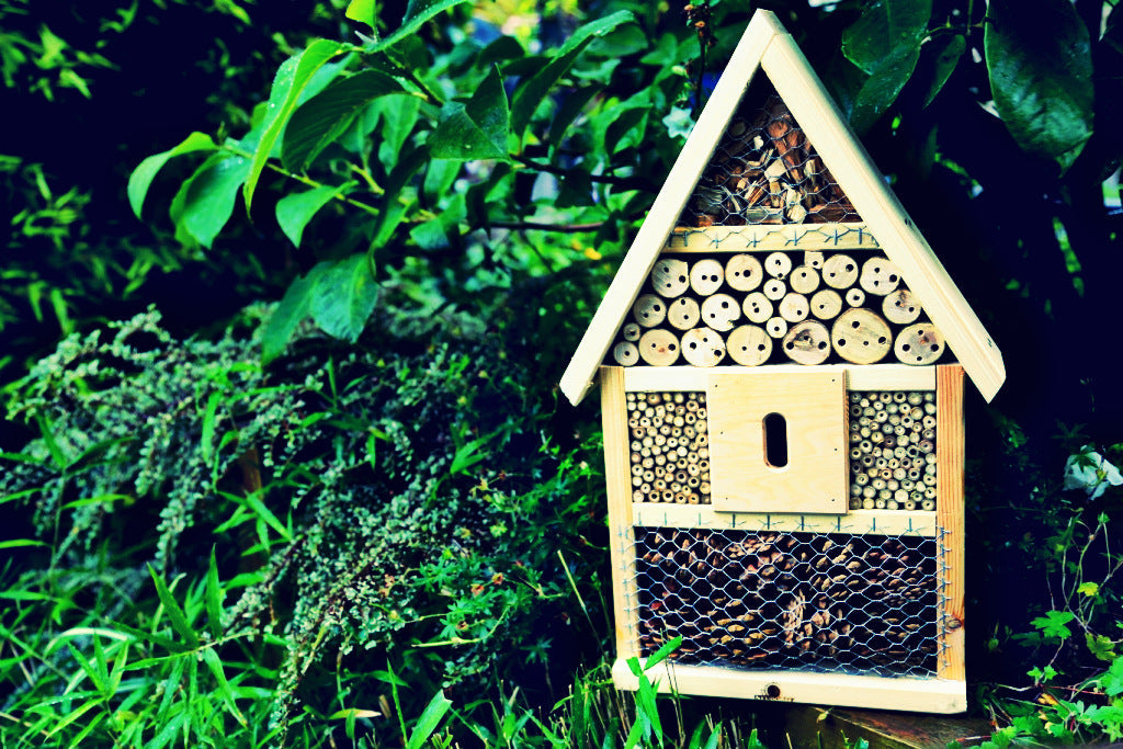 How to attract beneficial insects to your garden: with an insect hotel ...