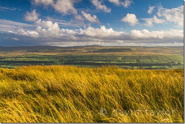 The Standard Lens – Learning with Experts Staging