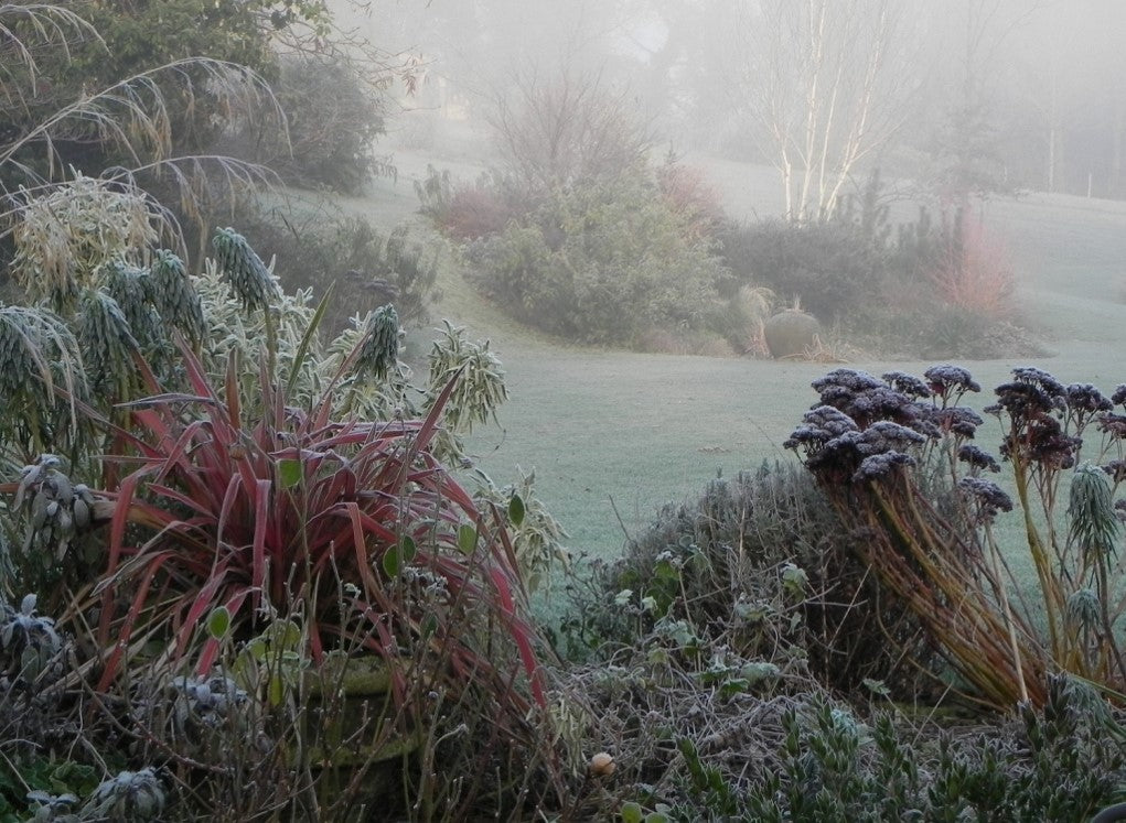 How to avoid frost damage in your garden – Learning with Experts Staging